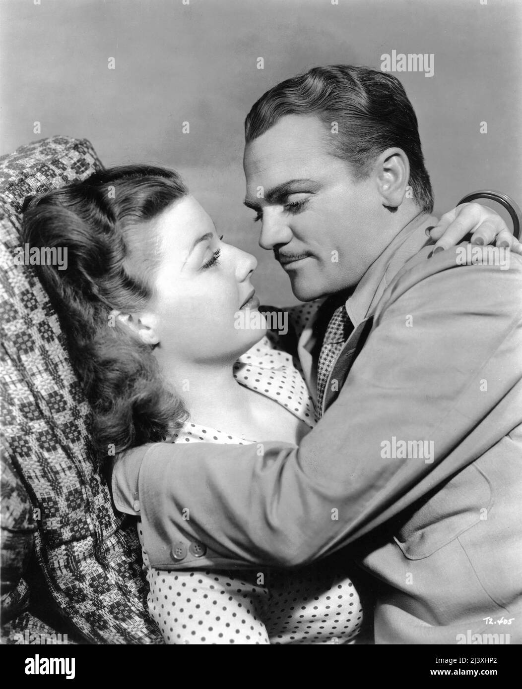 Torrid zone hi-res stock photography and images - Alamy