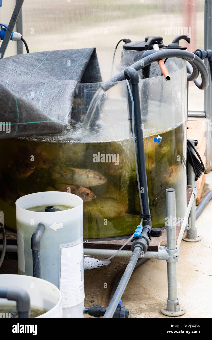 Hydroponics farming concept vertical hi-res stock photography and ...