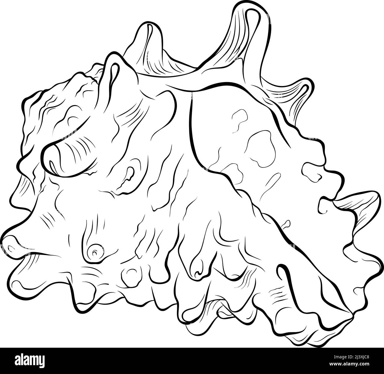 Spiked shape Cut Out Stock Images & Pictures - Alamy