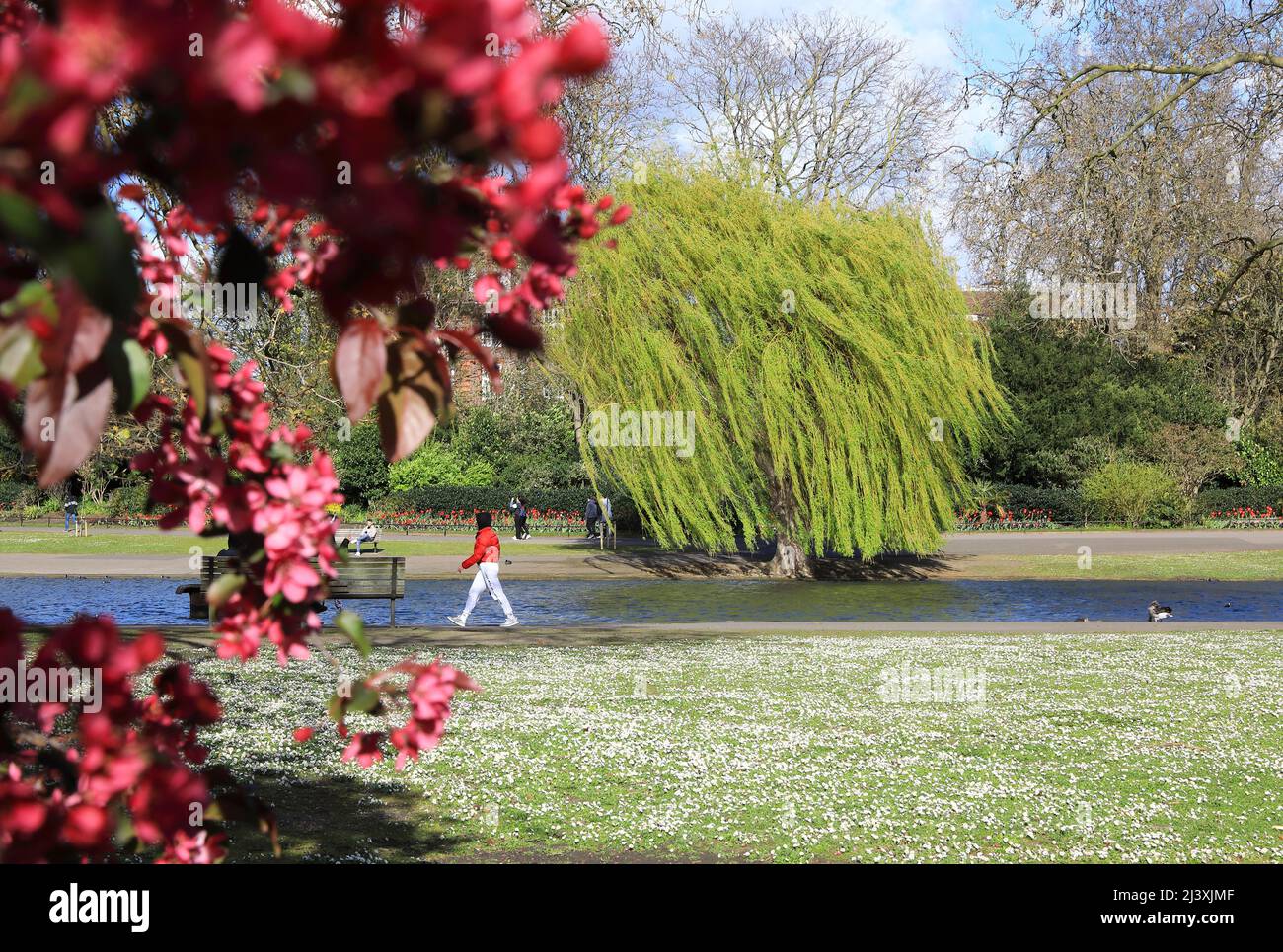 Flowering winds hi-res stock photography and images - Alamy