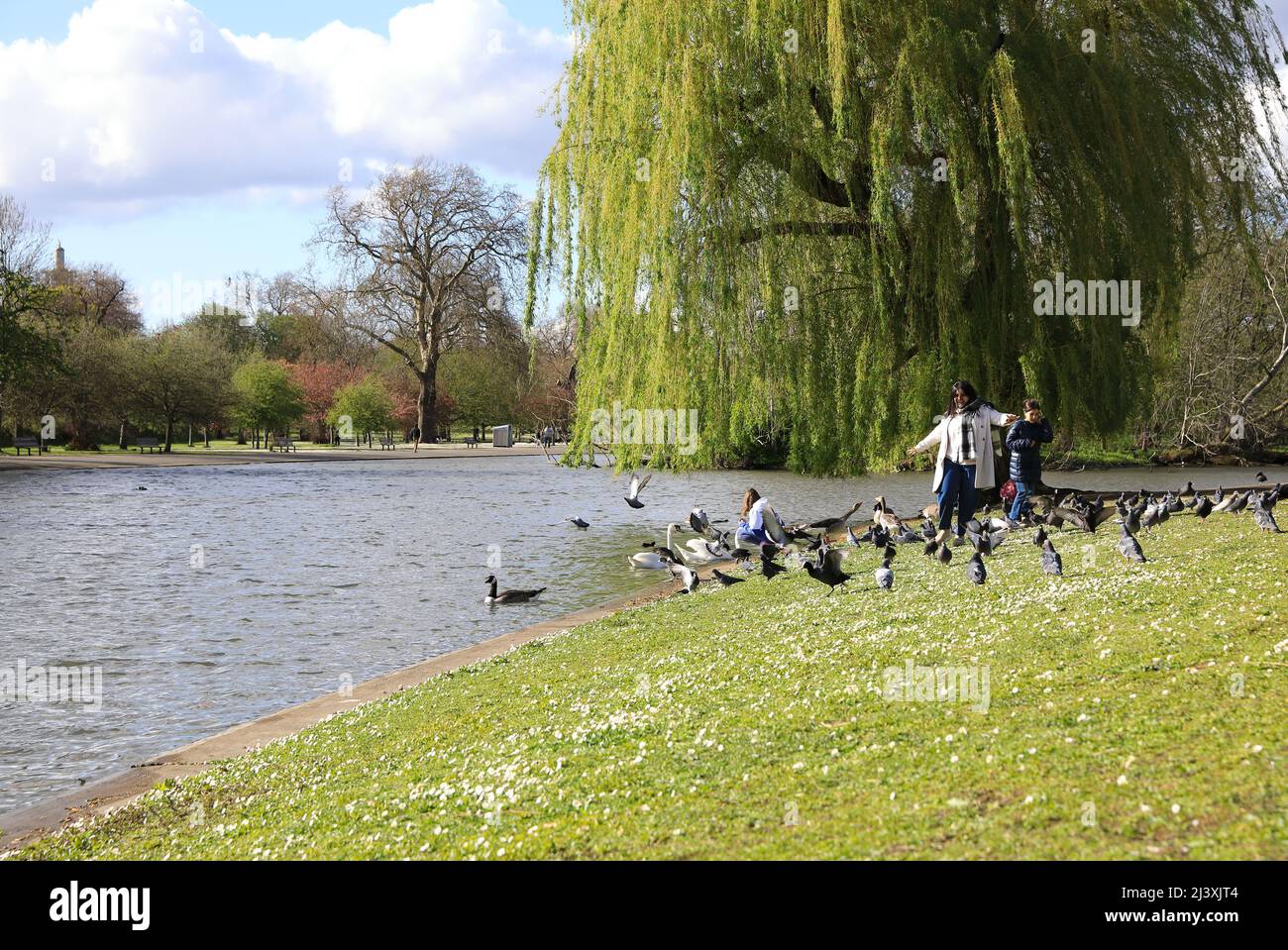 Urban parks birds hi-res stock photography and images - Alamy