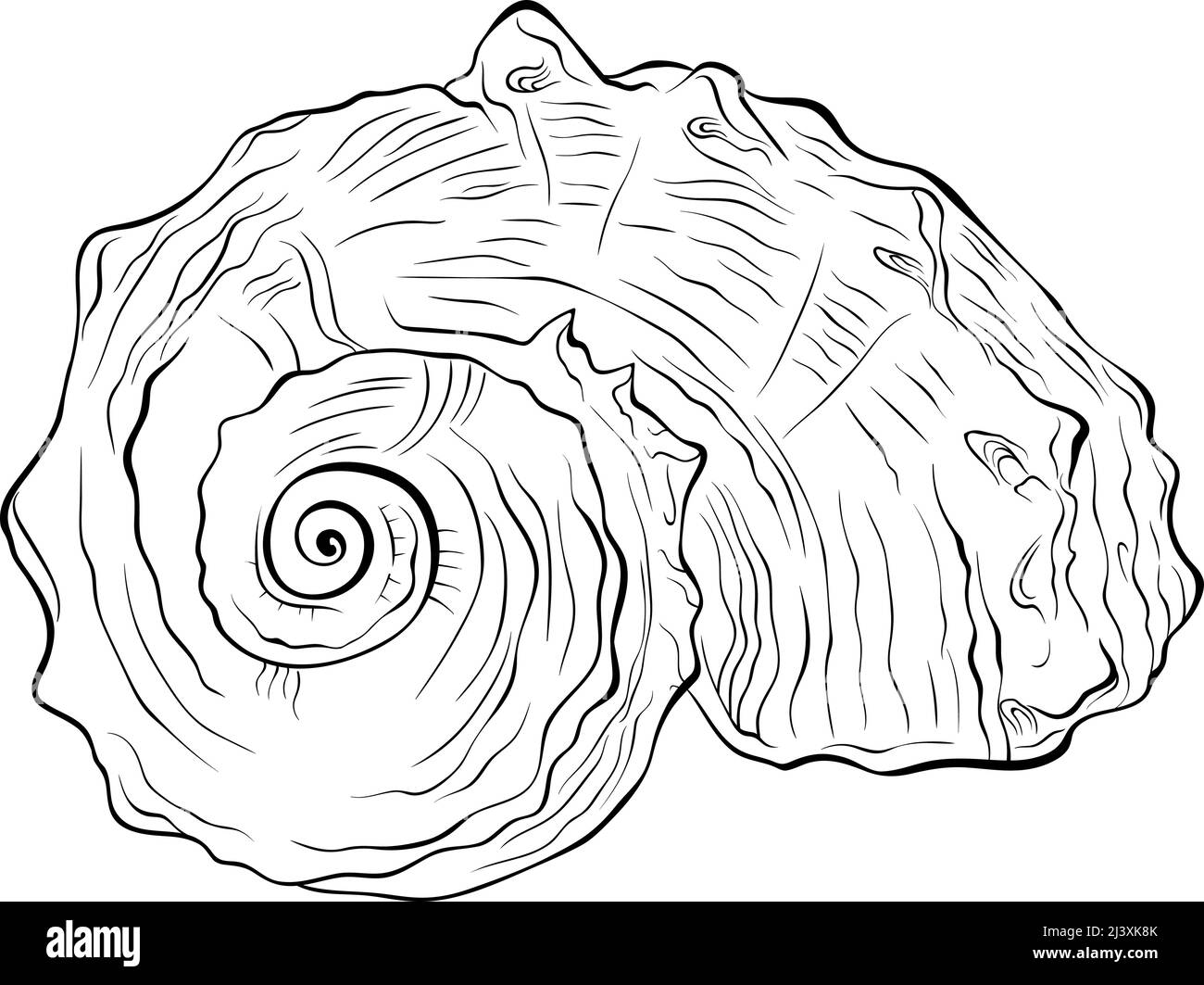 Close up view contour Cut Out Stock Images & Pictures - Alamy