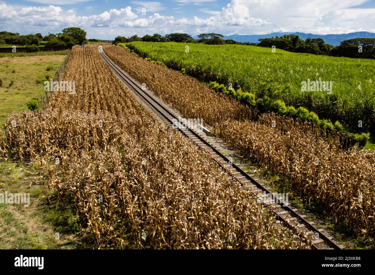 Railway tracks in a rural scene in a beautiful sunny day at the Valle ...