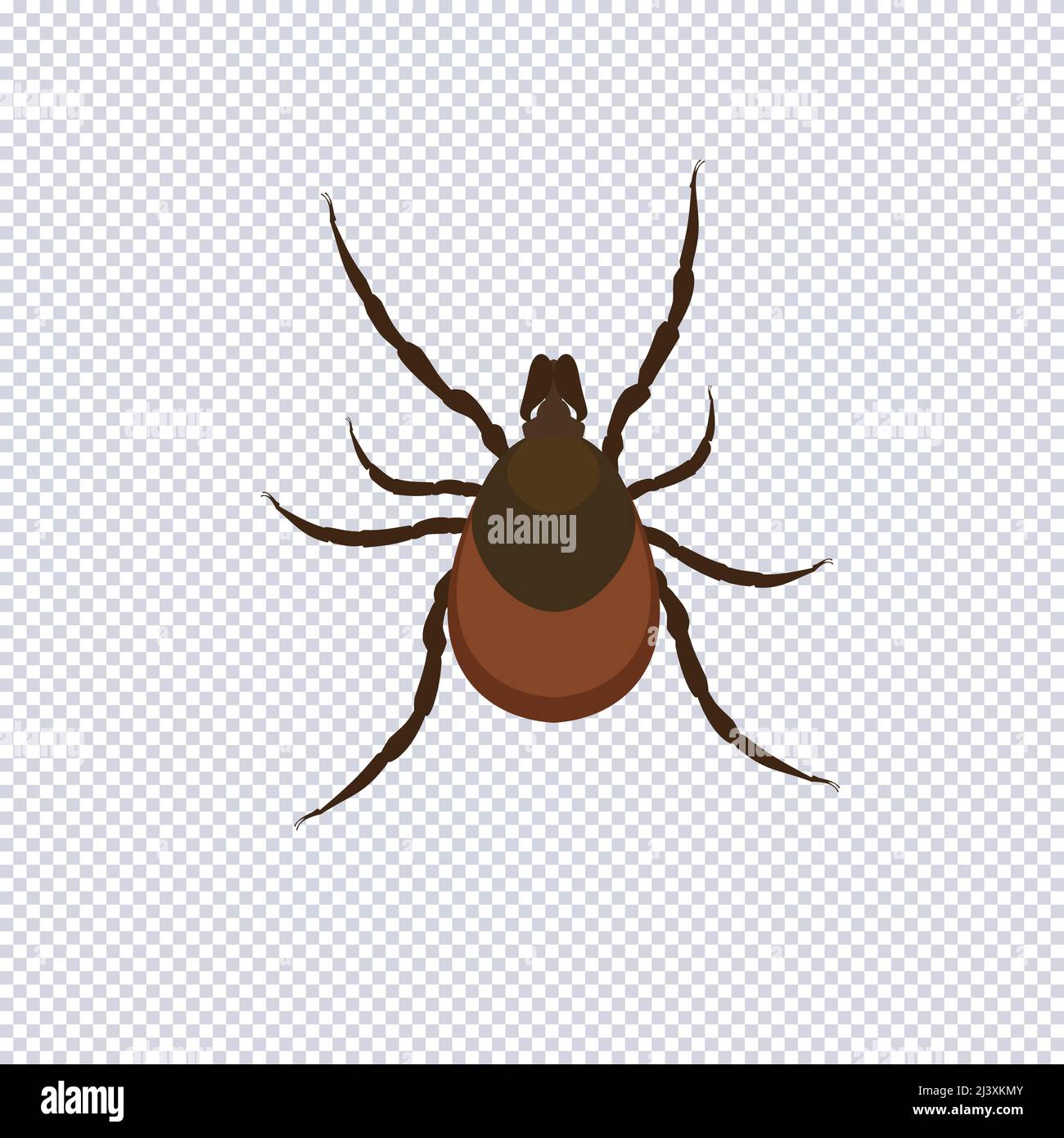 Tick parasite. Dog mite icon flat style on transparent. Great for ...