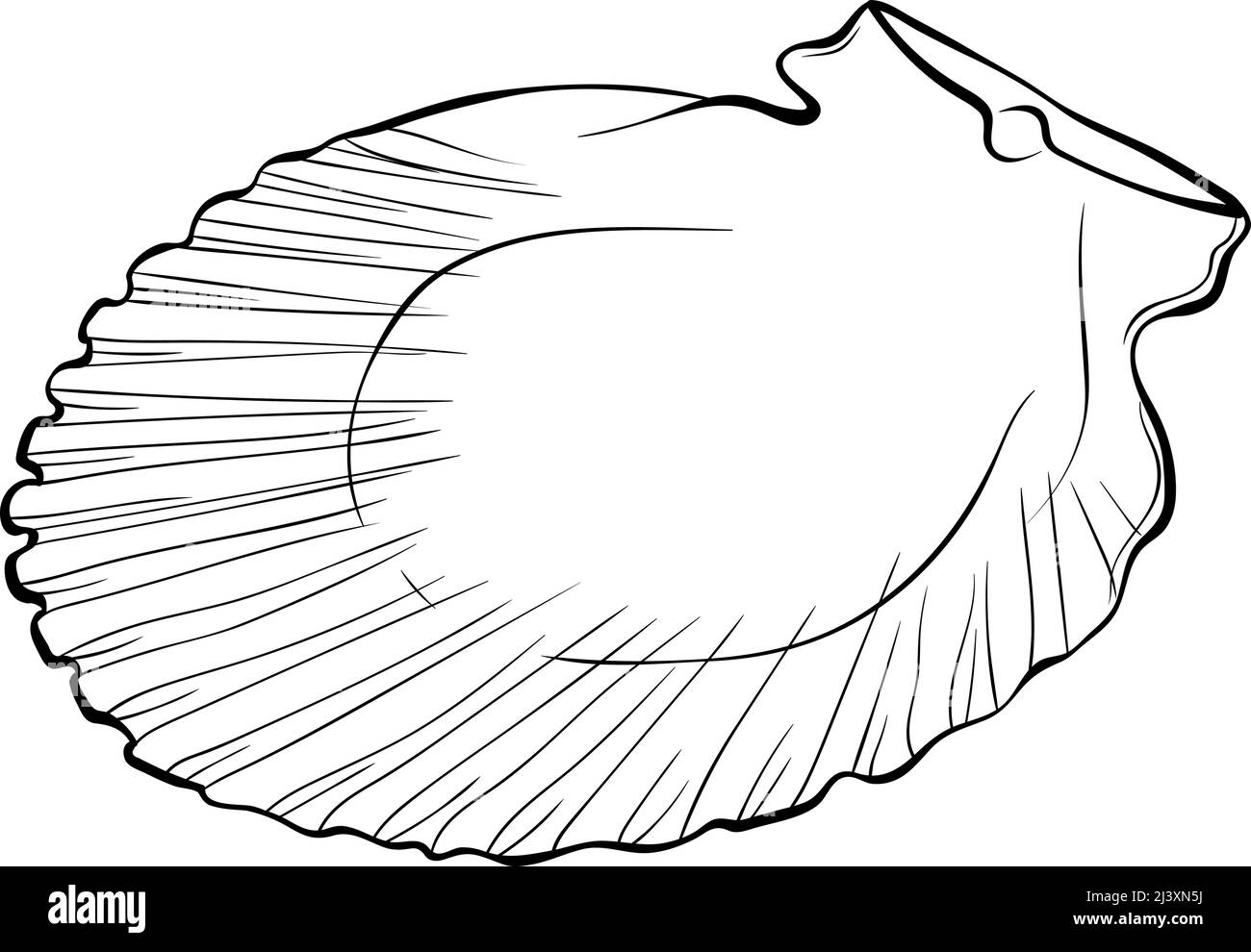 Scallop Shell Outline