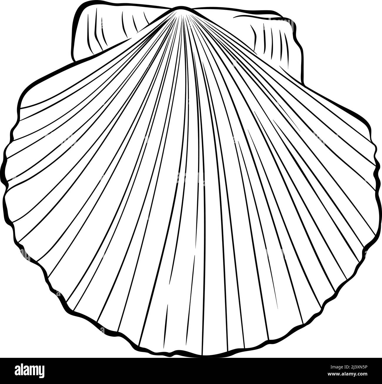 Yellow Scallop Shell Clip Art