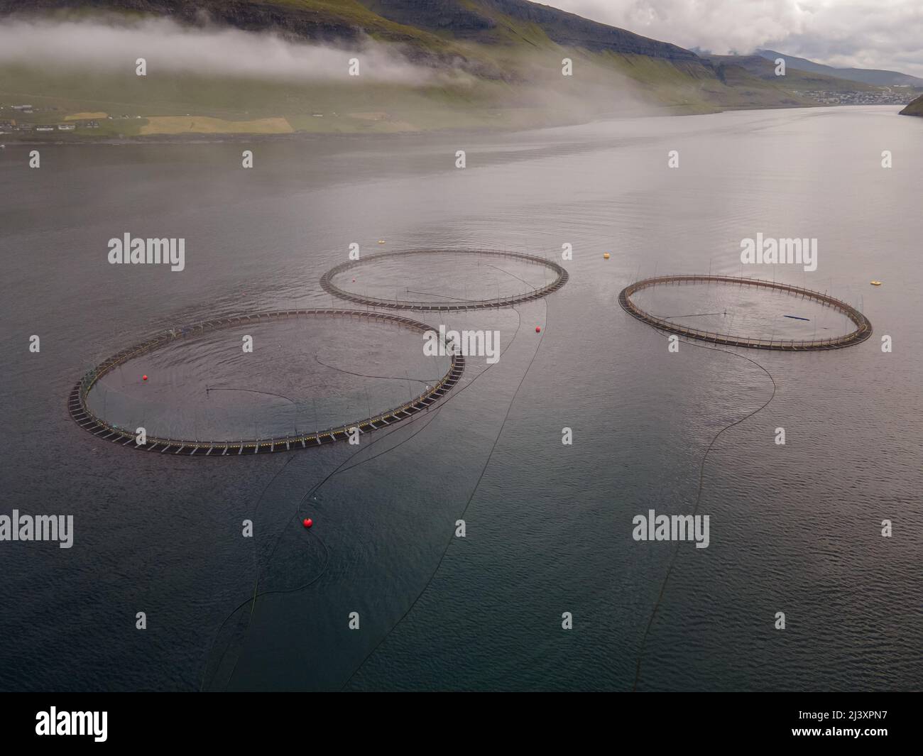 Beautiful cinematic aerial footage of the Salmon fishing farm pools and ...