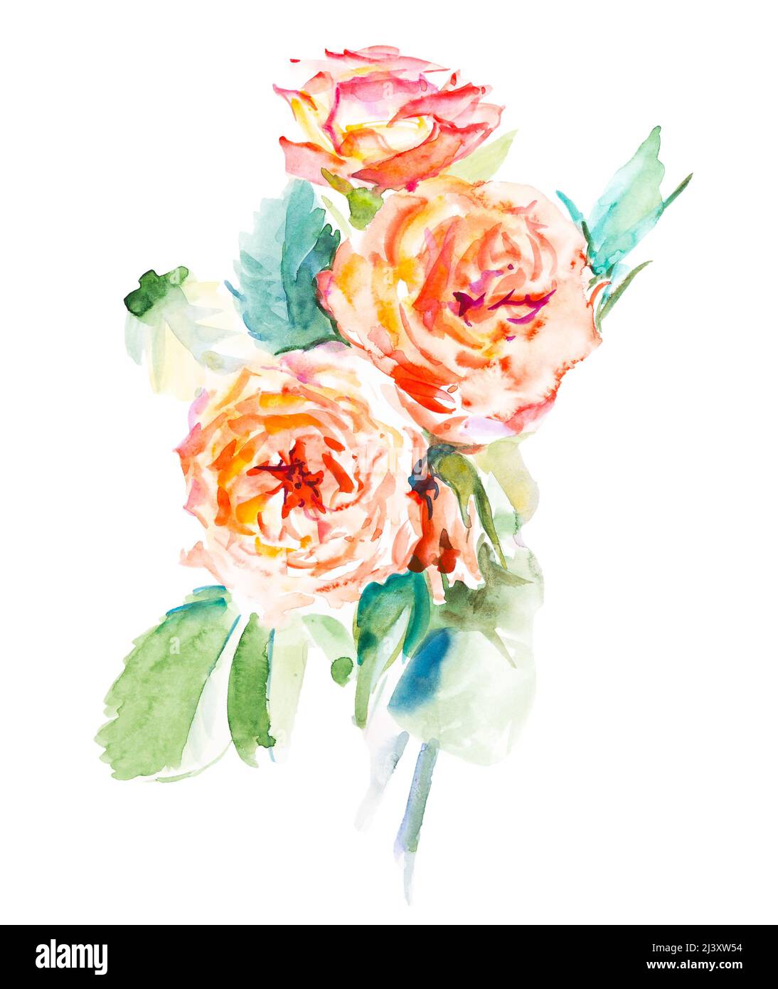 decorative watercolor flowers. floral illustration, Leaf and buds ...