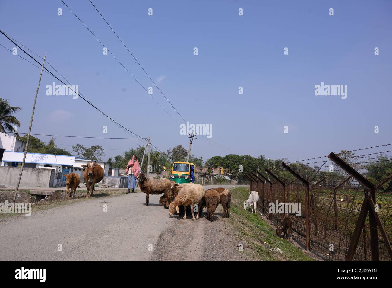 India bangladesh border fence hi-res stock photography and images - Alamy