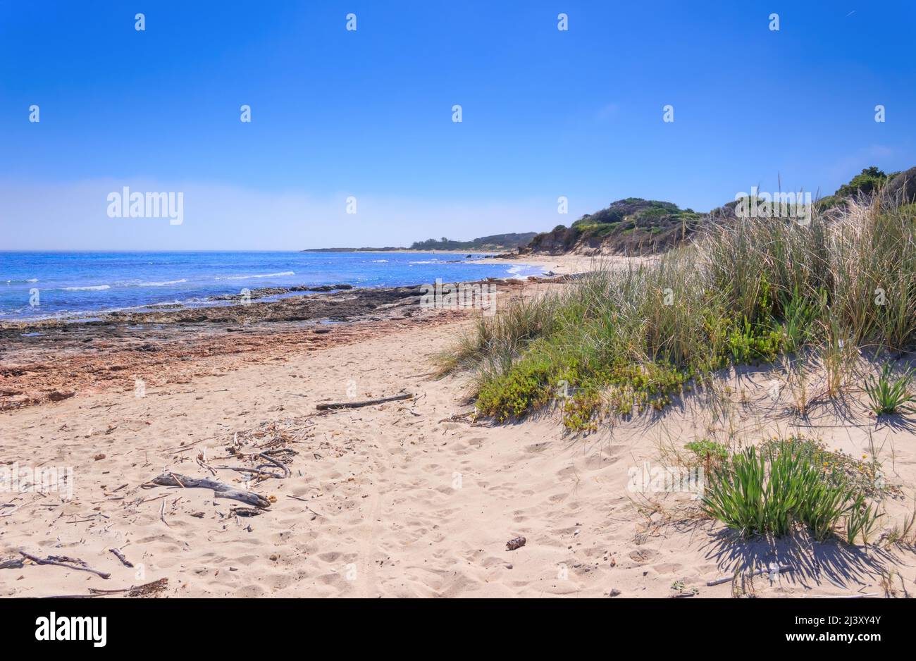 Torre Guaceto Nature Reserve in Apulia, Italy: view of the beach and ...