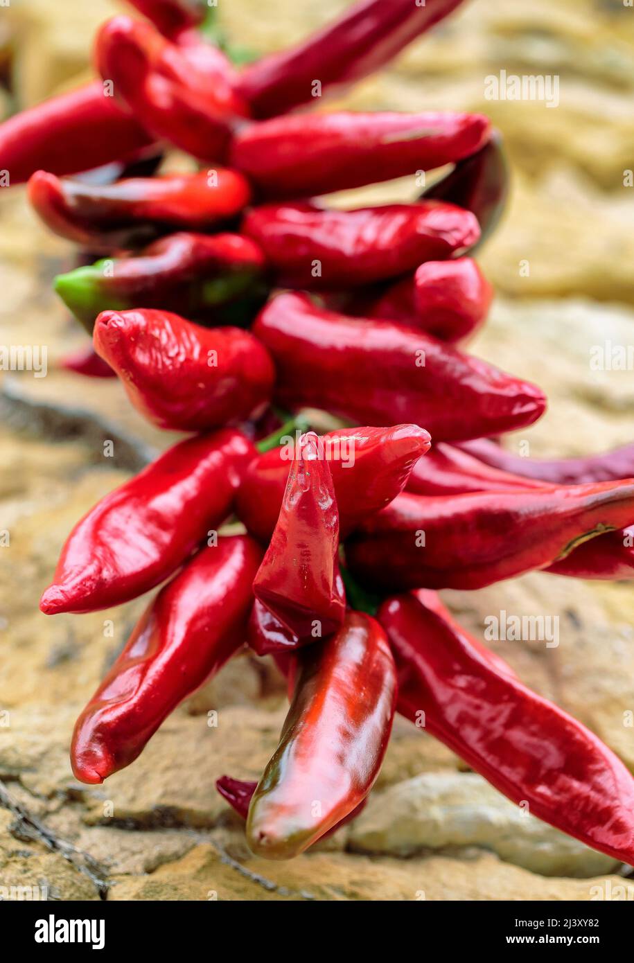 Red spicy peppers Stock Photo - Alamy
