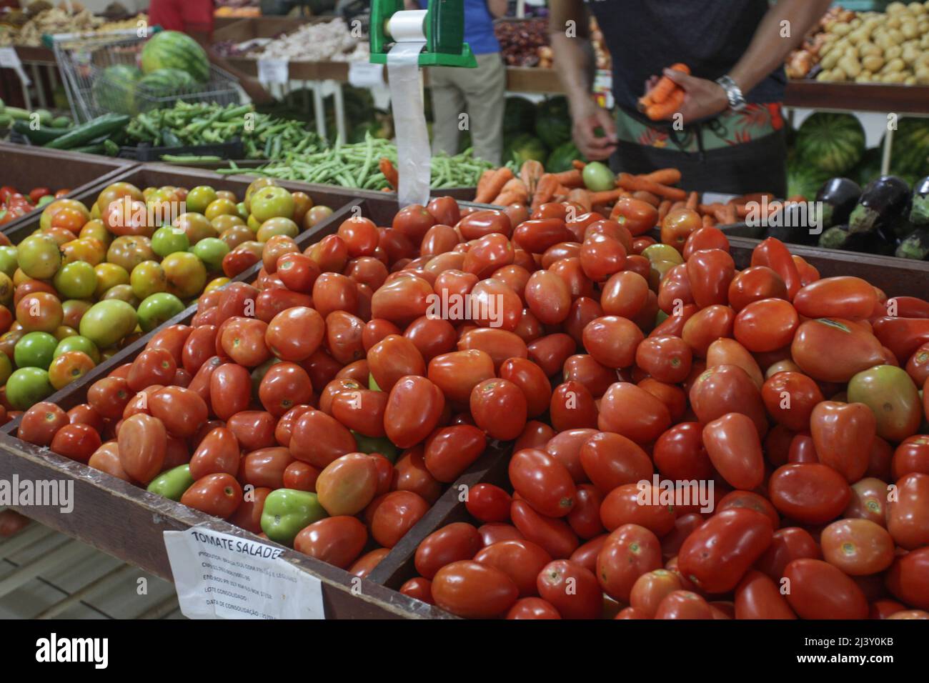 Tomato prices almost doubled in a year, increasing 94.5% in 12 months ...