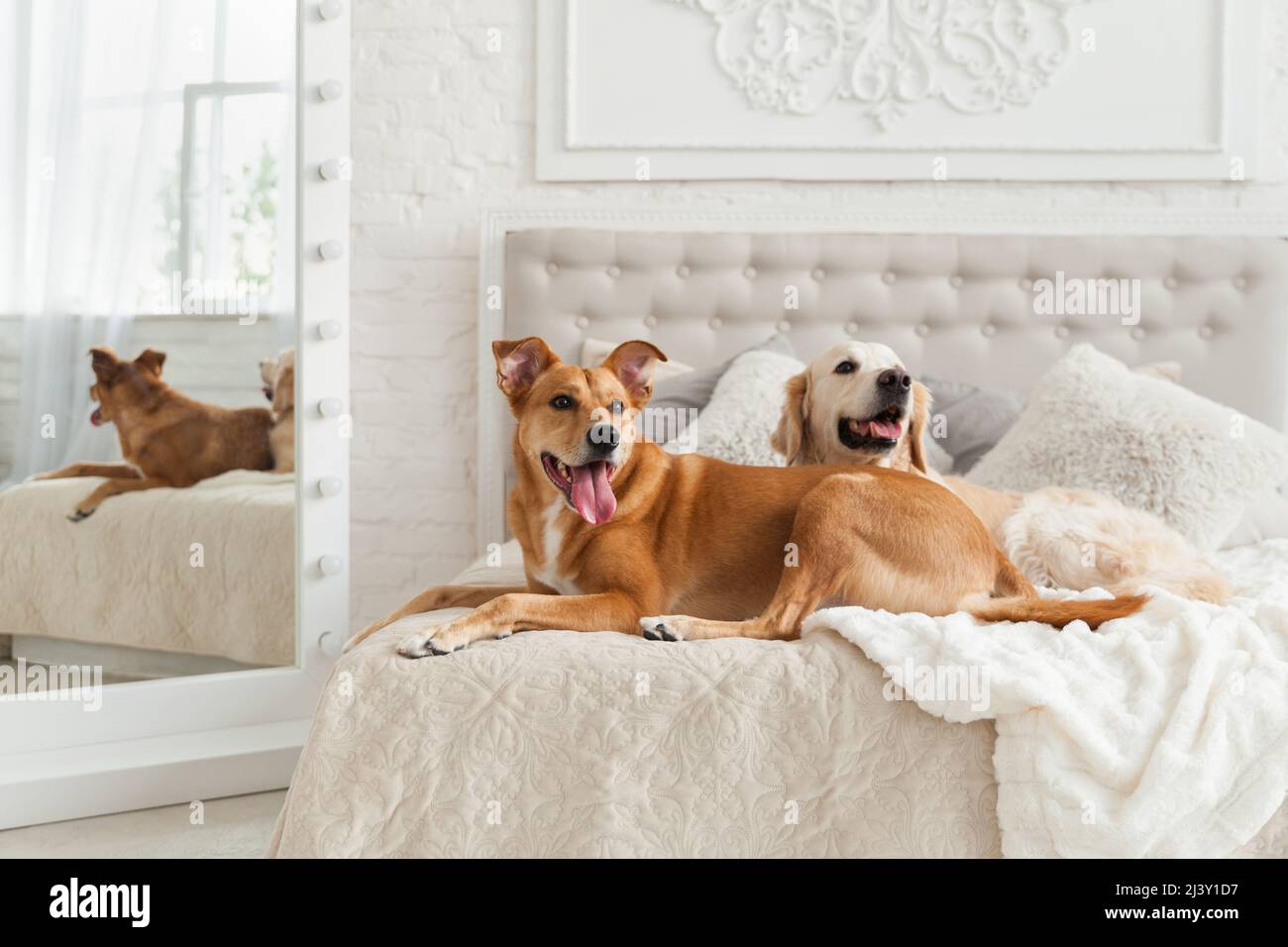 Bed bedside table hi-res stock photography and images - Alamy