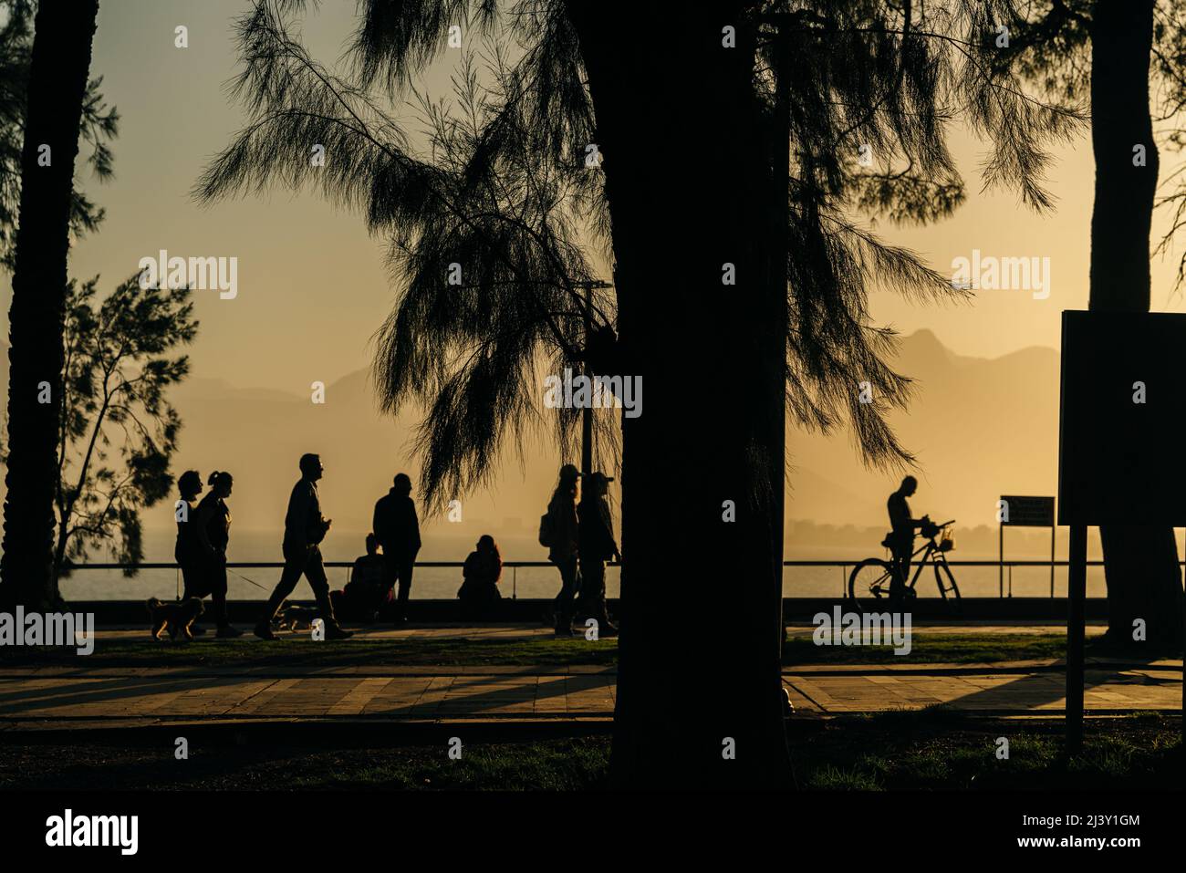 silhouettes of people on the background of the sunset. High quality ...