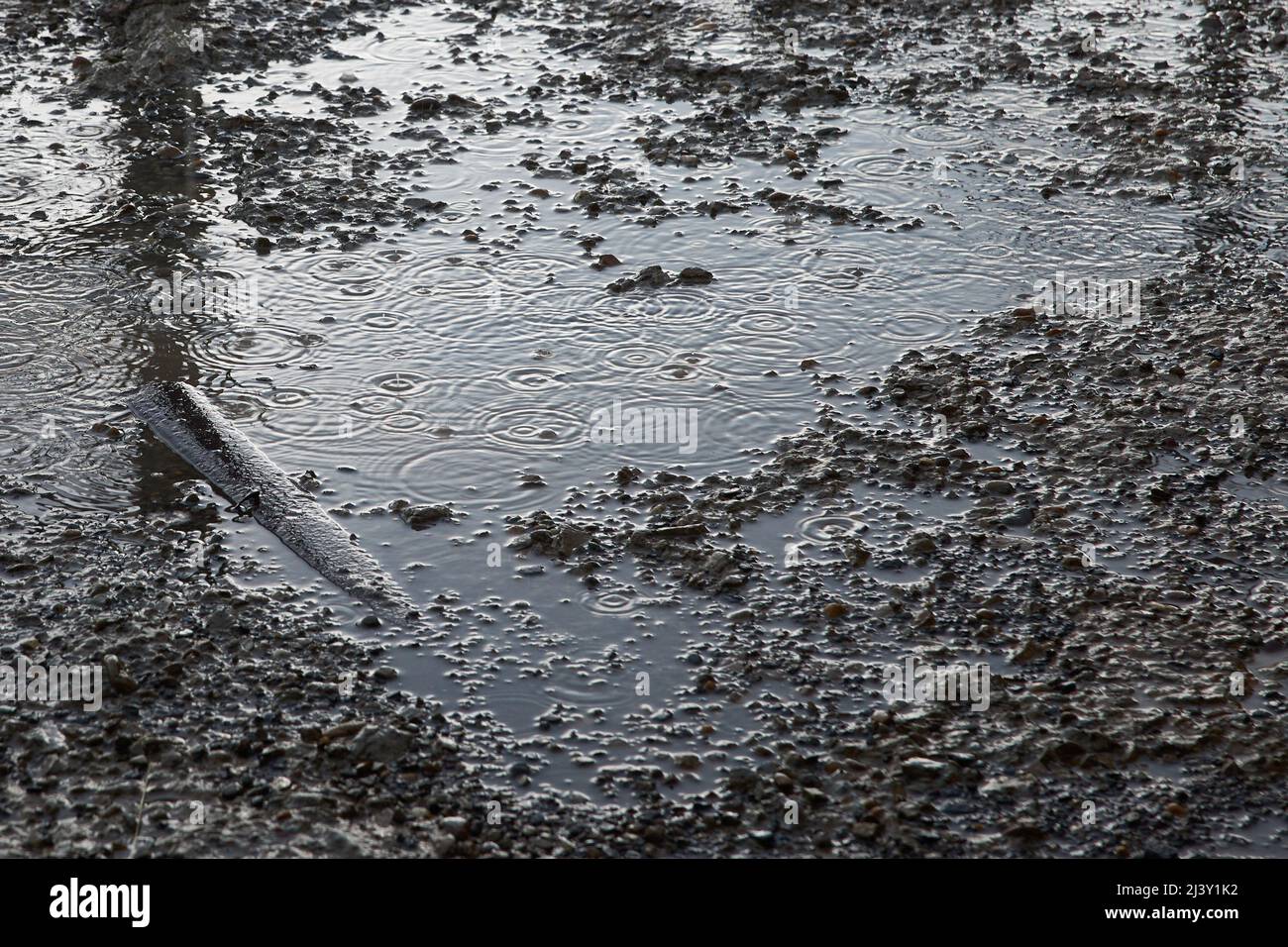 Rain puddles on pavement autumn hi-res stock photography and images - Alamy
