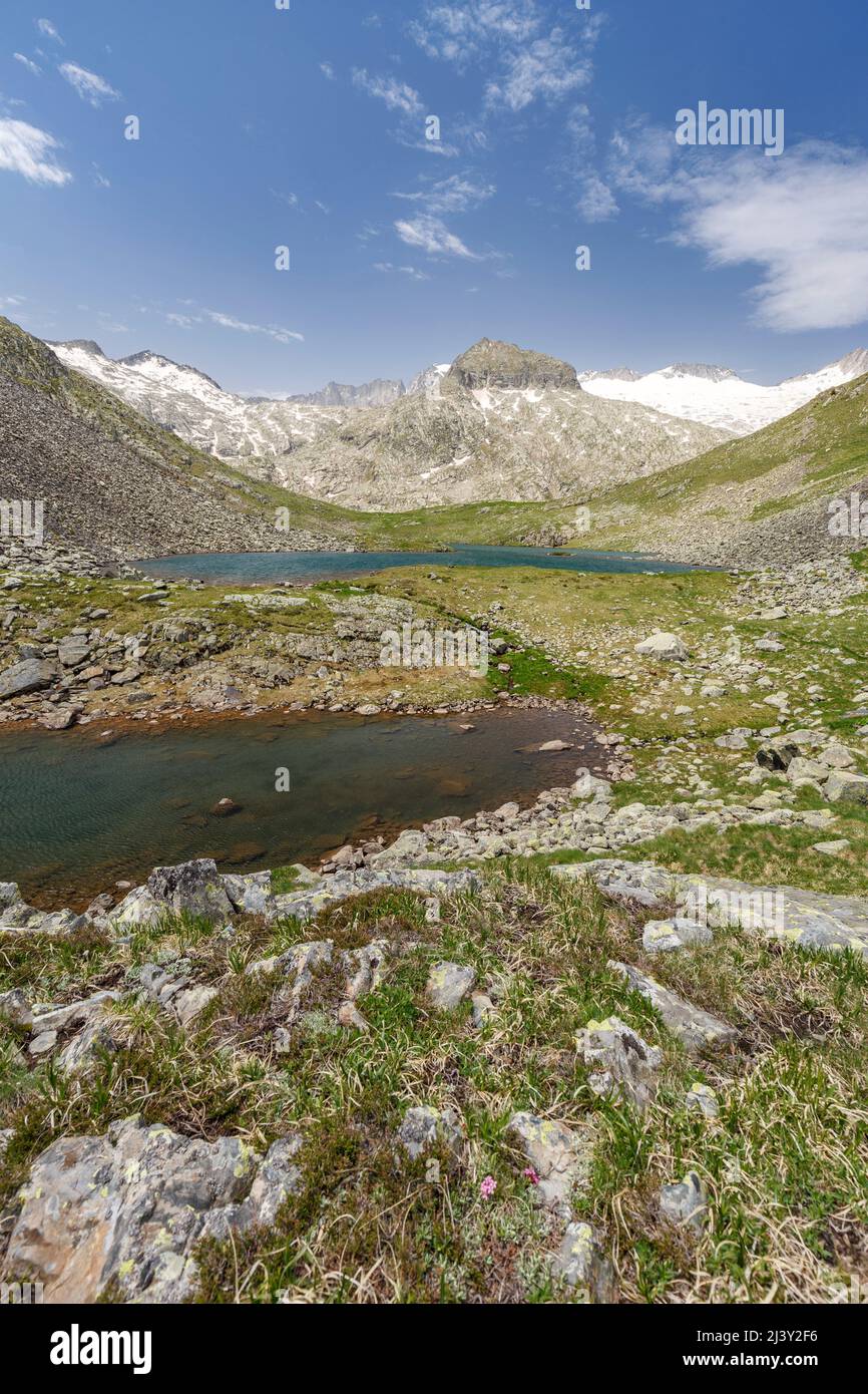 Coth deth horo hi-res stock photography and images - Alamy