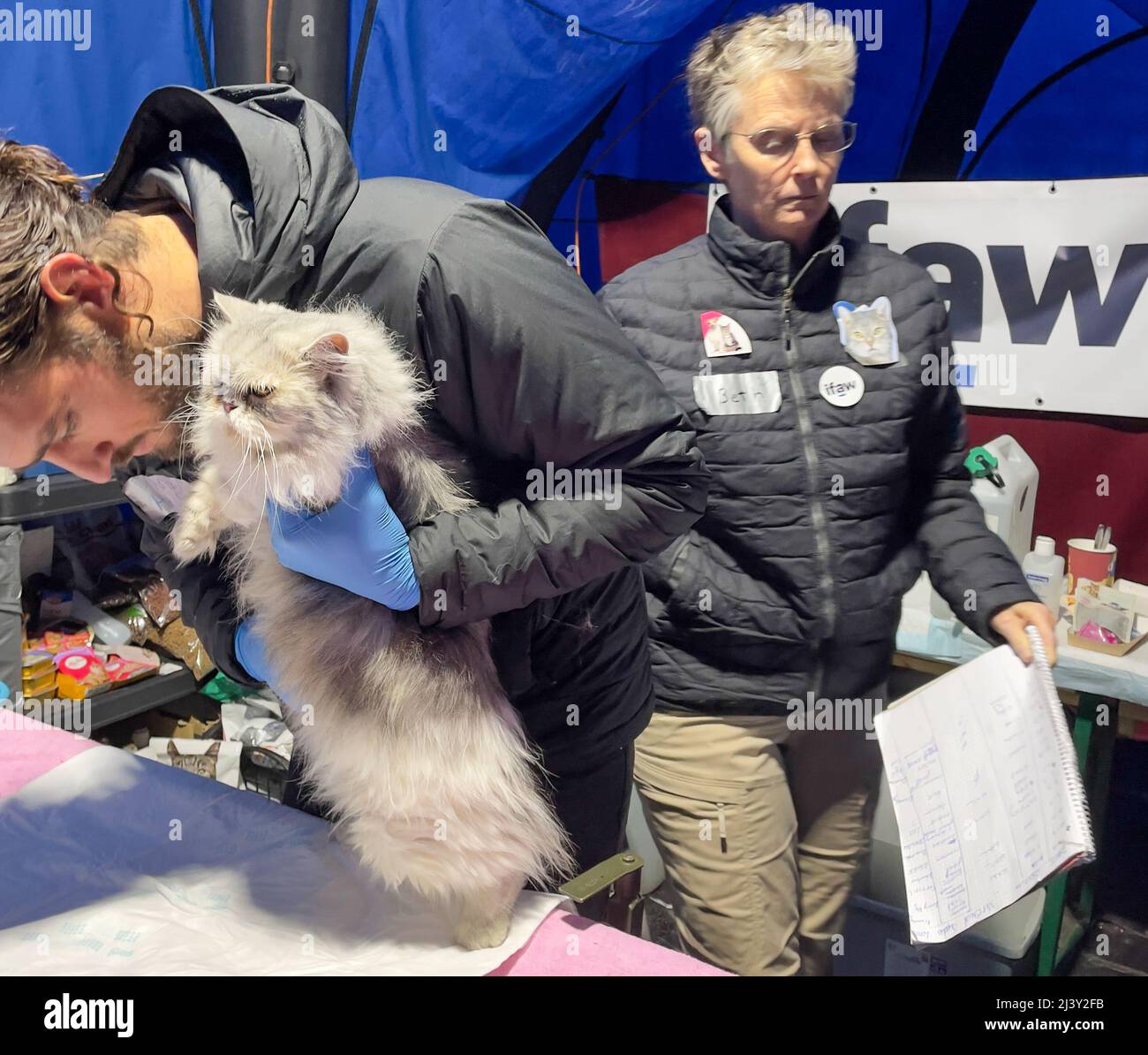 Stressed Out Animals