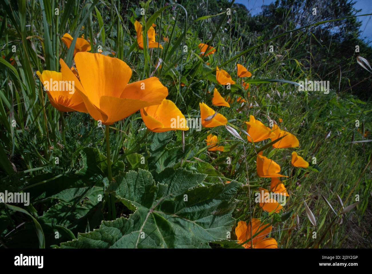 Gerbode valley hi-res stock photography and images - Alamy