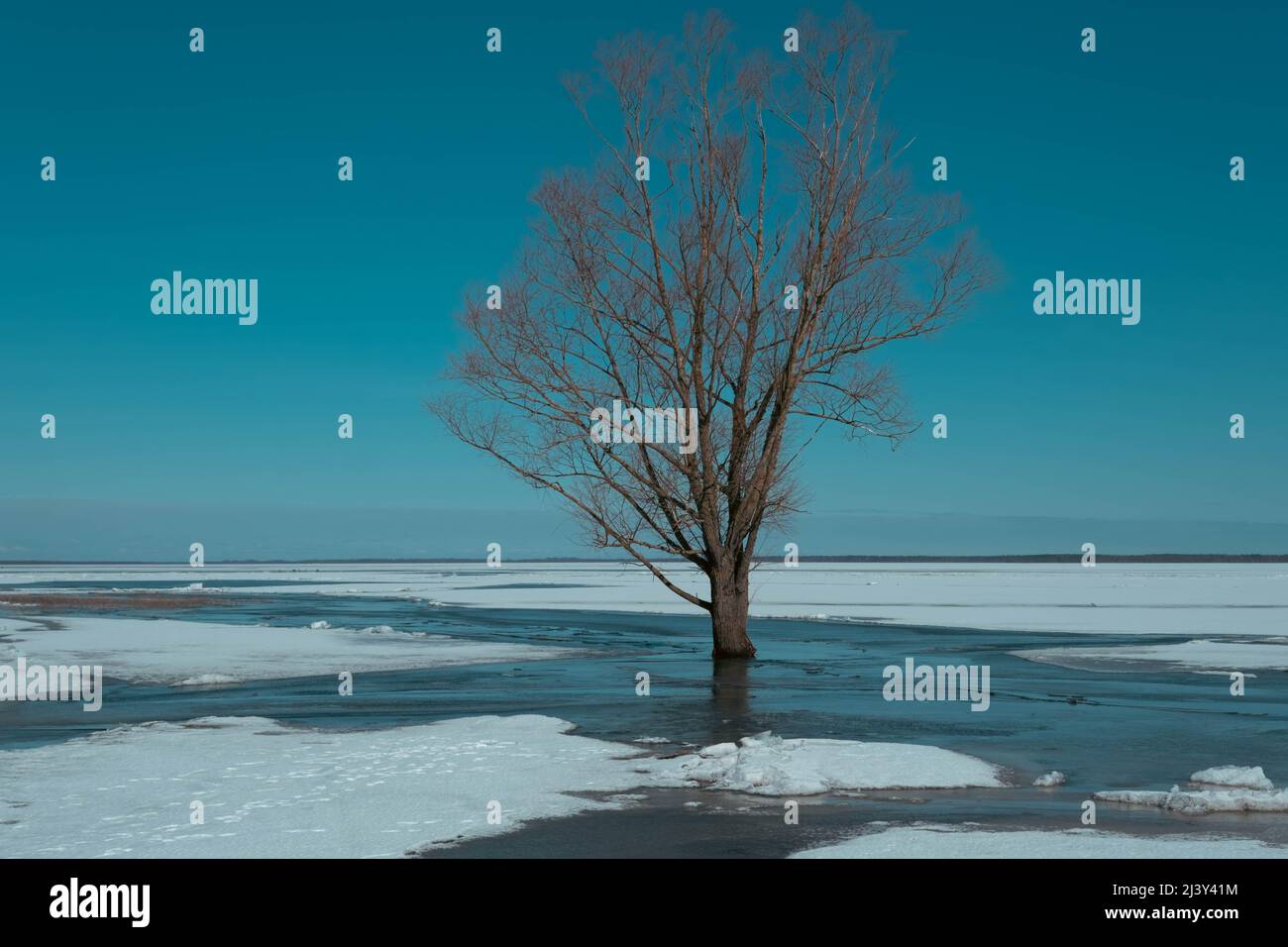spring landscape from the lake shore, white ice cubes, blue sky, Lake ...