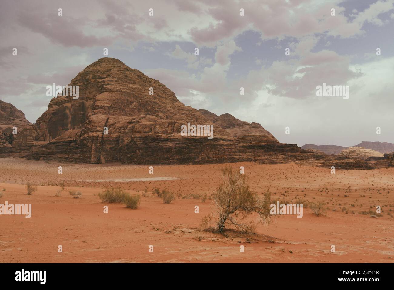 Wadi Rum desert, Jordan. The Valley of the Moon. Red sand, mountains ...