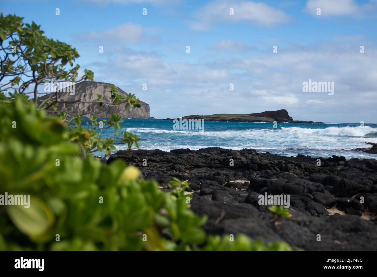 Hawaiian black rock beach Stock Photo - Alamy