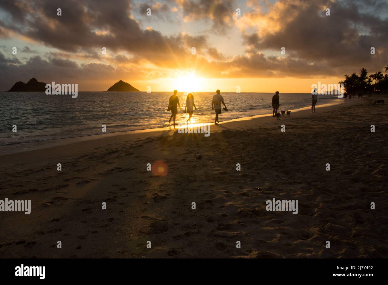 Morning sunrise walk in hawaii Stock Photo - Alamy