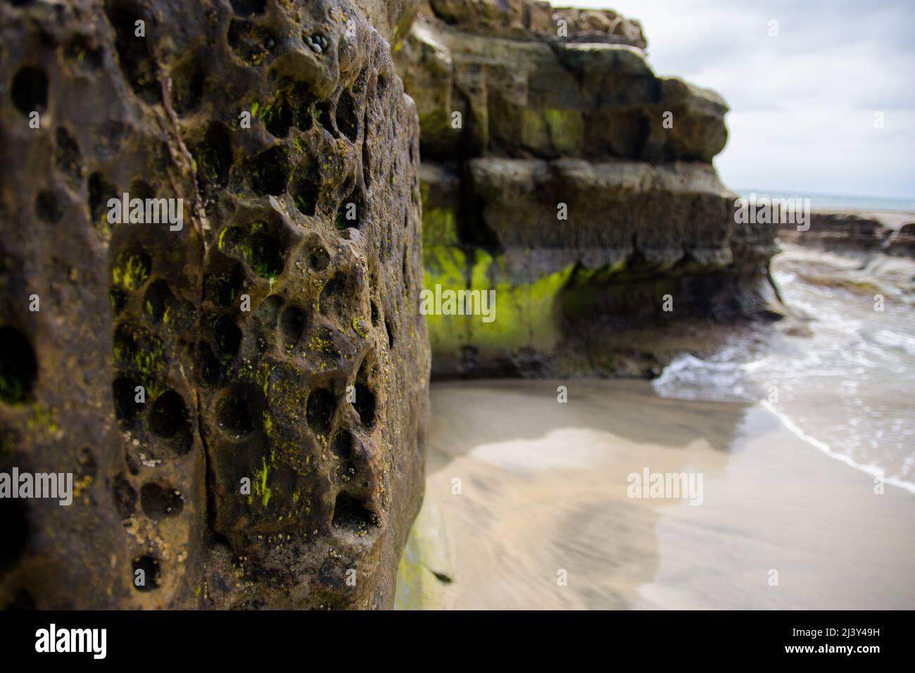 mossy rock at beach Stock Photo - Alamy