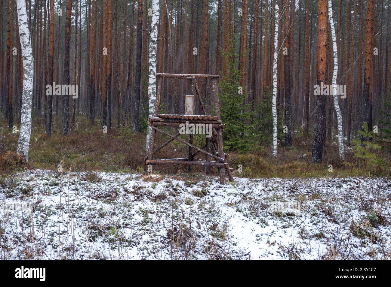 Hunter stand hi-res stock photography and images - Alamy