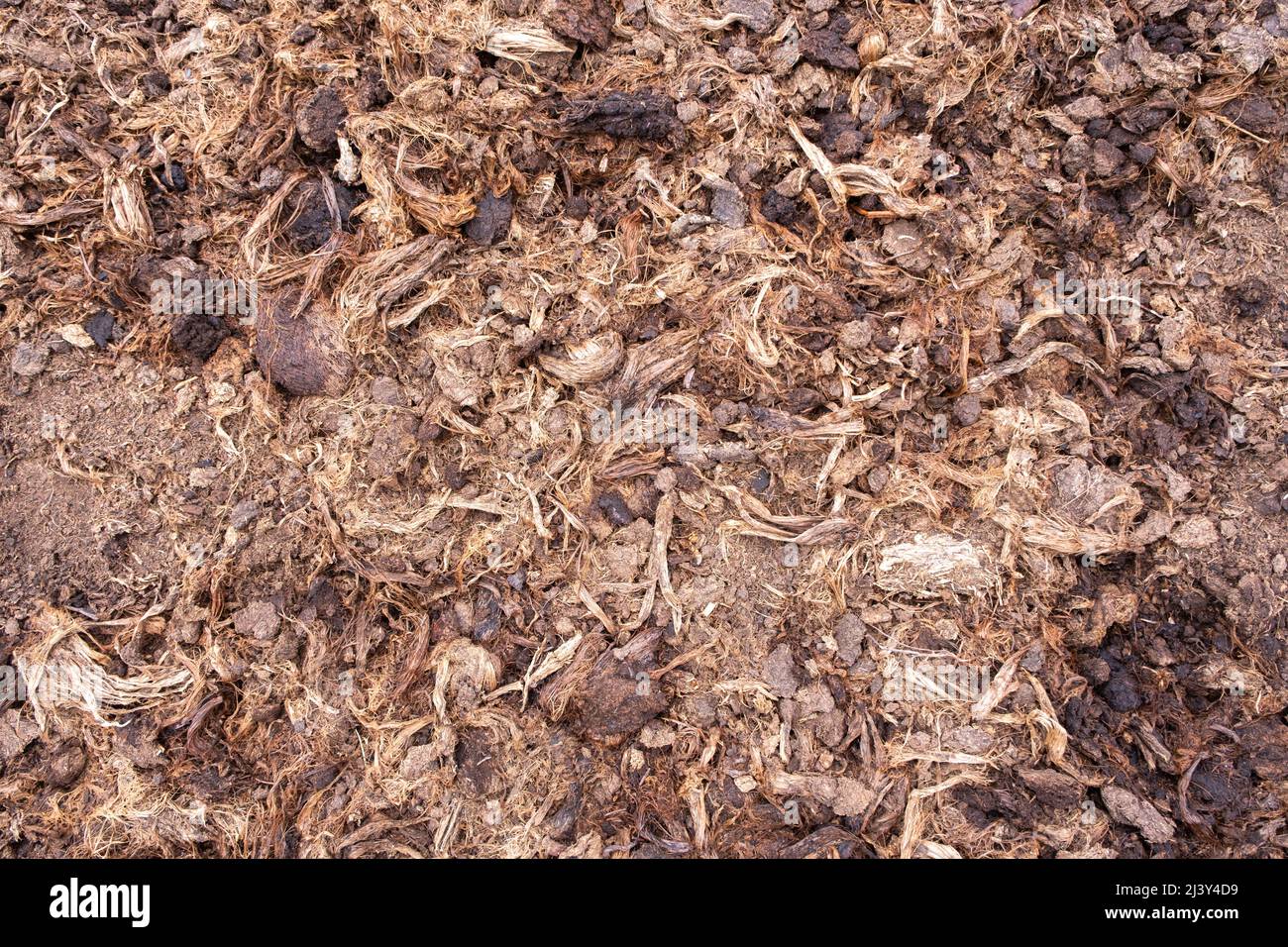 close up soil peat moss dirty background and texture Stock Photo - Alamy