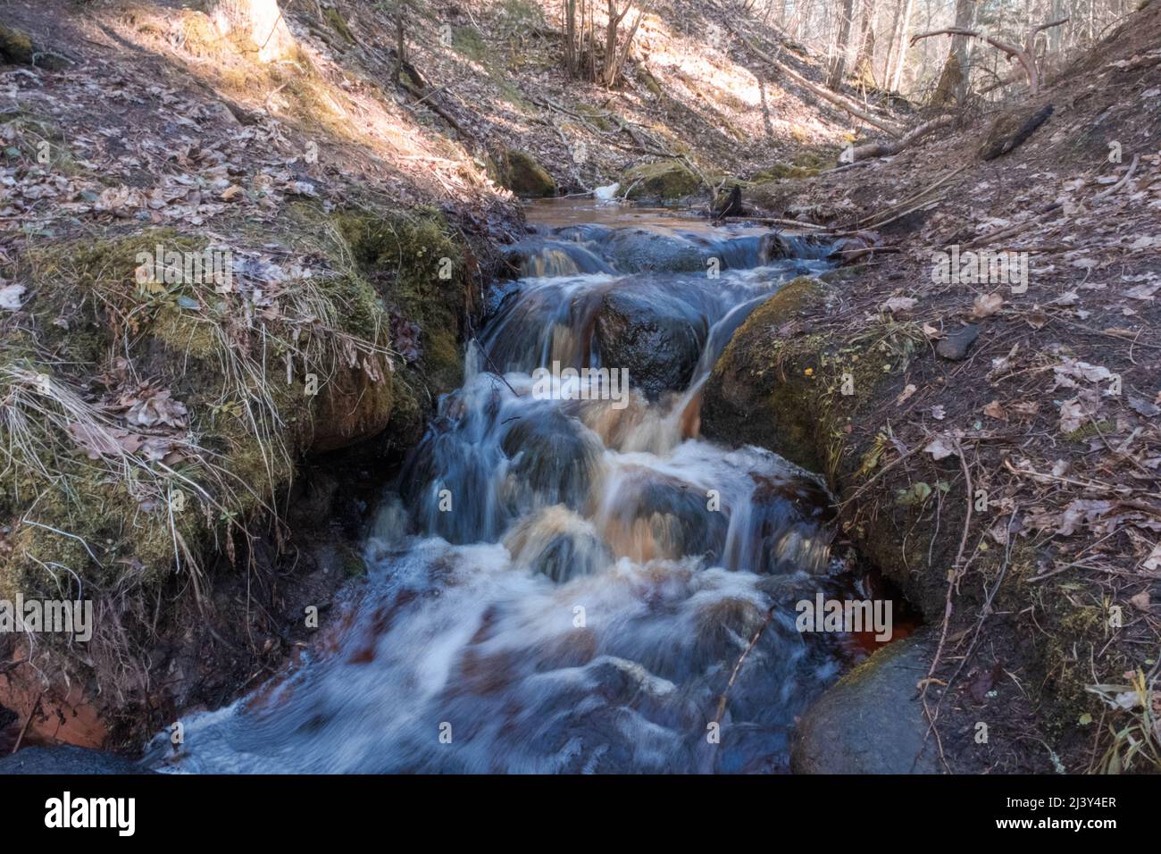 Blurred river water tree hi-res stock photography and images - Alamy