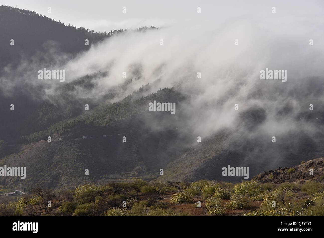 Fog forming over the hills and descending into the valley, arid ...