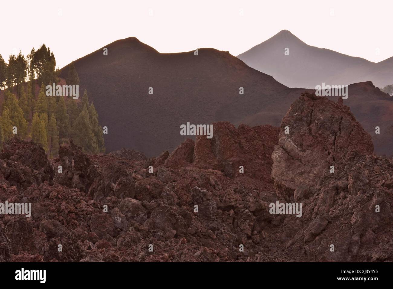 El chinyero hi-res stock photography and images - Alamy