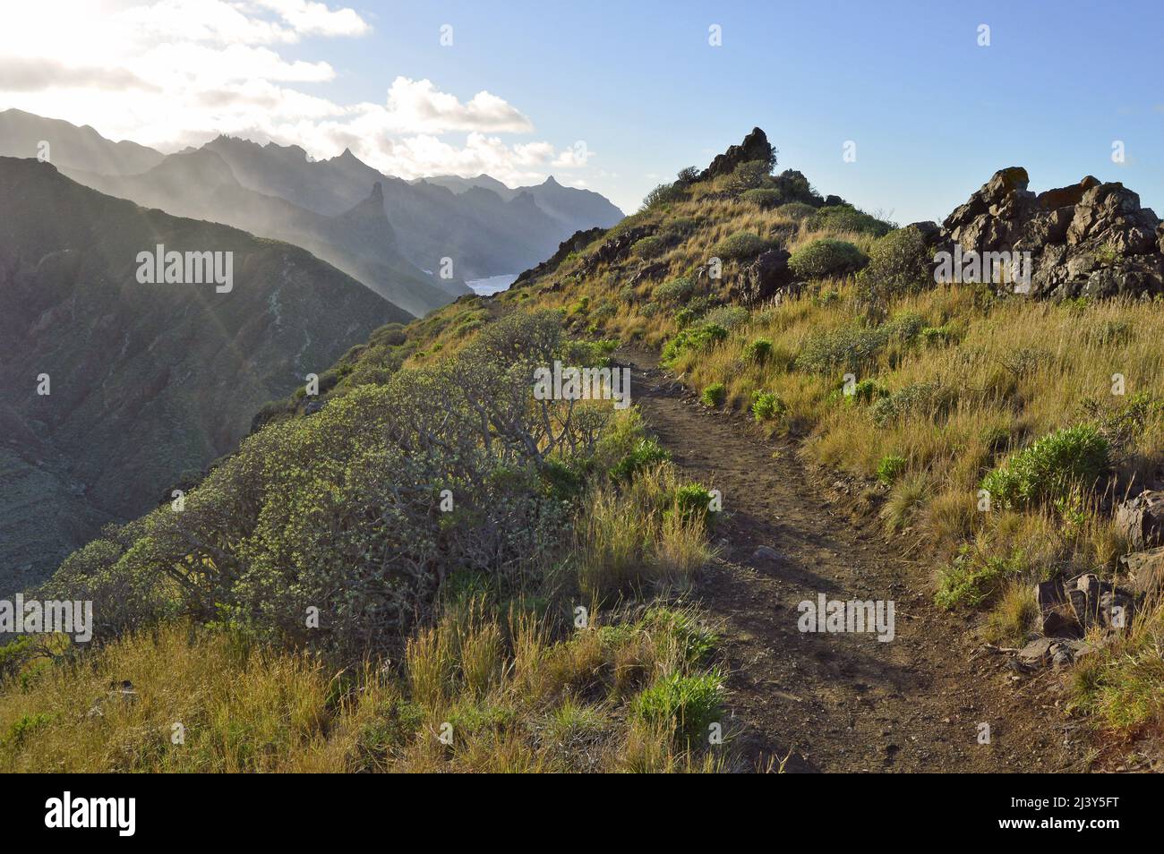Hiking trail through rugged volcanic landscape with succulent plants ...