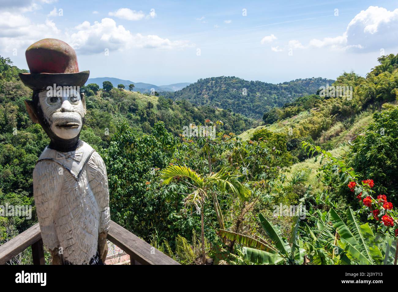 Blue Mountains view from Eits Cafe, Craighton Estate (Blue Mountain ...