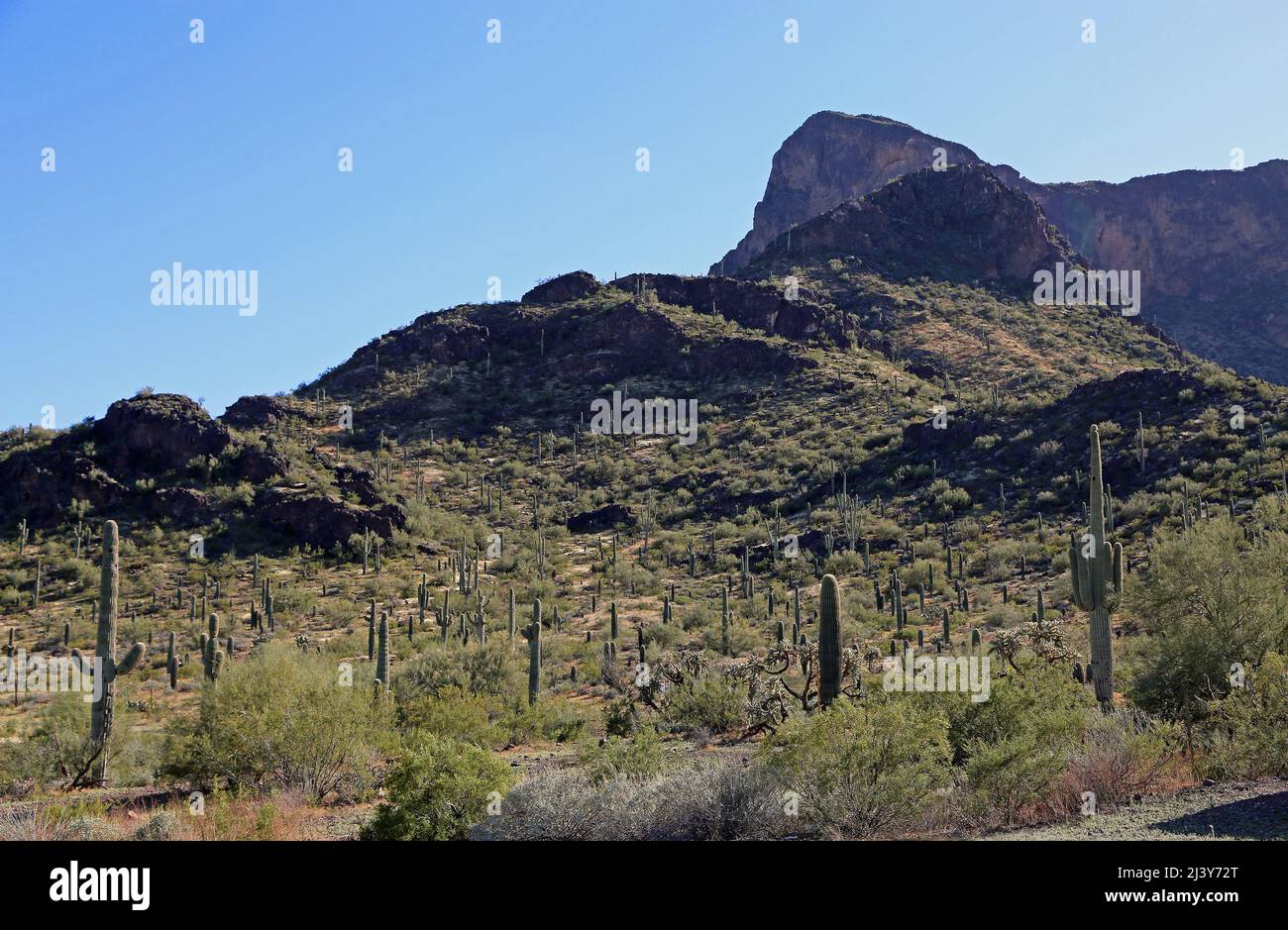View at Picacho Peak - Picacho Peak State Park, Arizona Stock Photo - Alamy