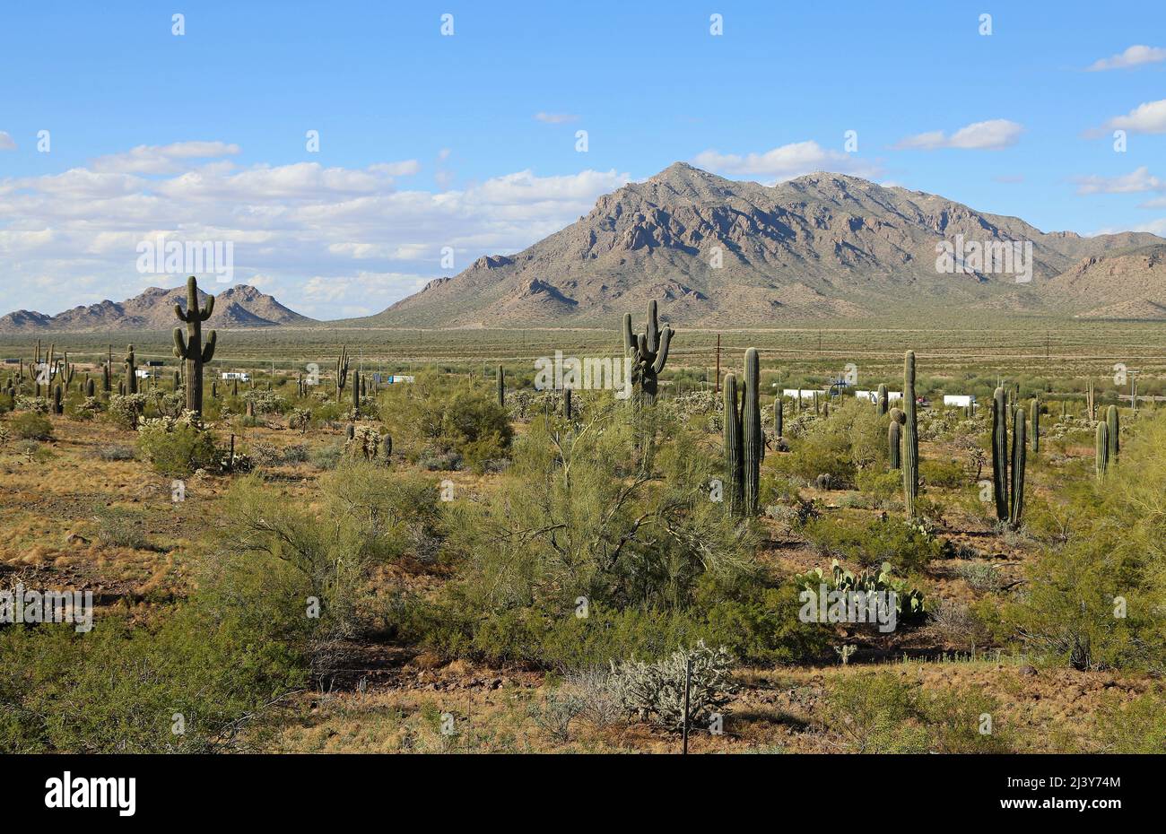 View at Picacho Mountains - Picacho Peak State Park, Arizona Stock ...