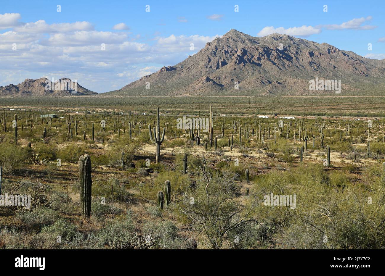 Scenery with Picacho Mountains - Picacho Peak State Park, Arizona Stock ...
