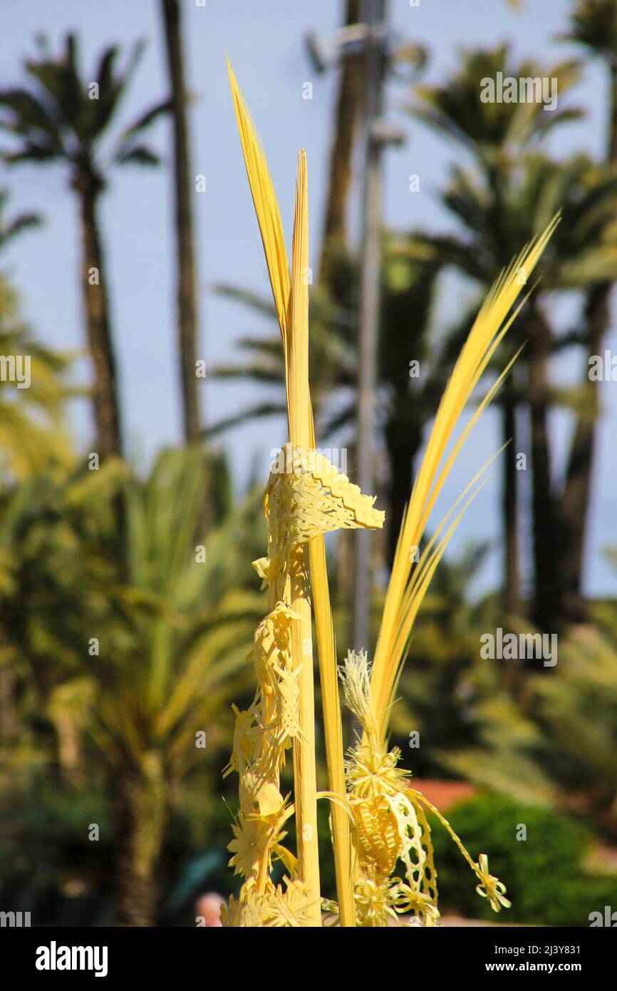 White palms on the Palm Sunday Procession in Elche, Alicante, Spain ...