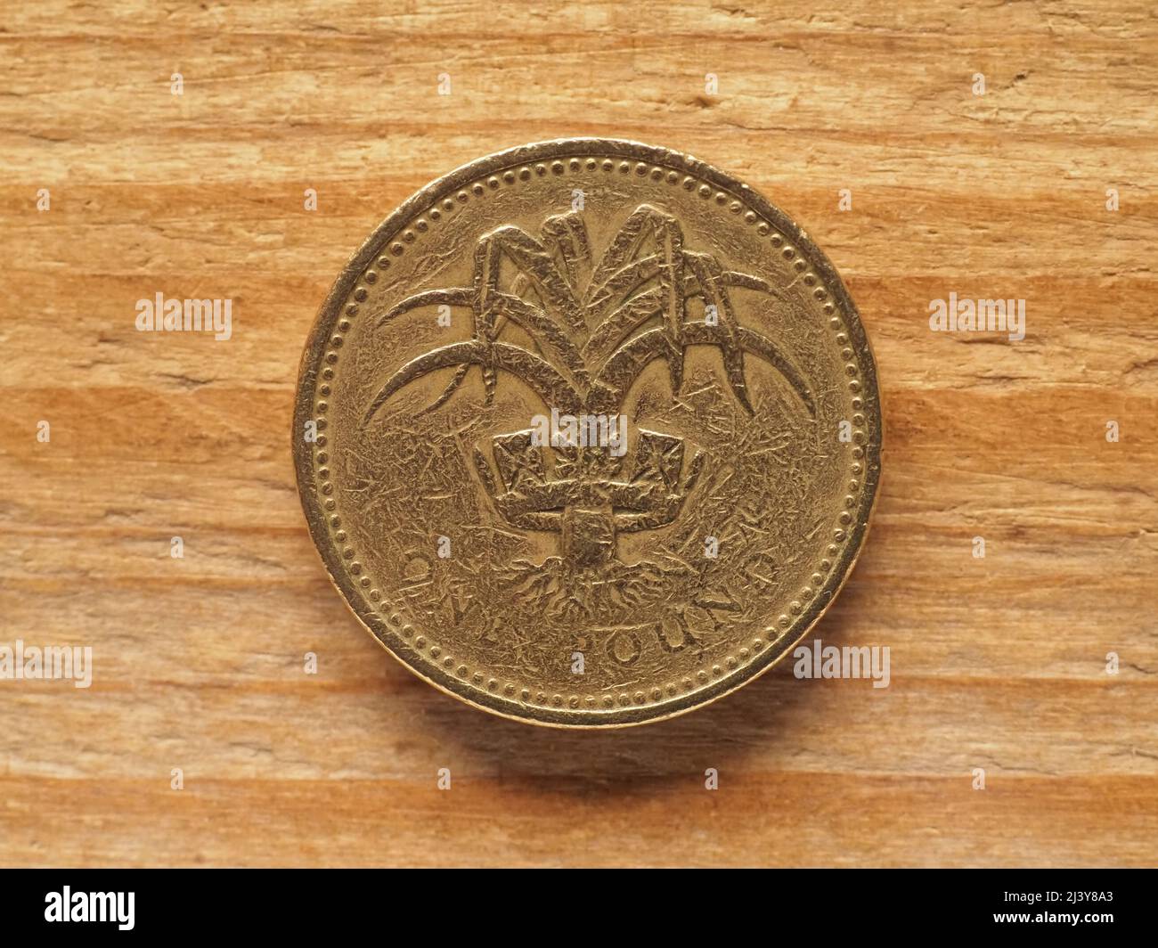 one pound coin reverse side showing leek and diadem representing Wales ...