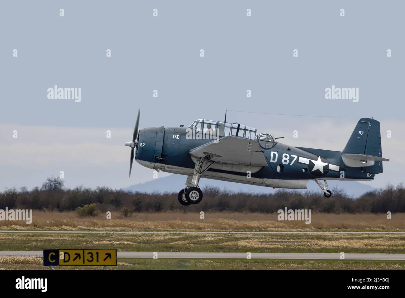 Grumman tbf avenger hi-res stock photography and images - Alamy
