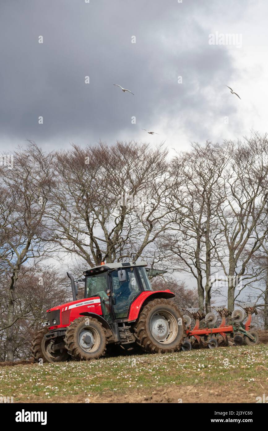 Overhead tractor ploughing gulls hi-res stock photography and images ...