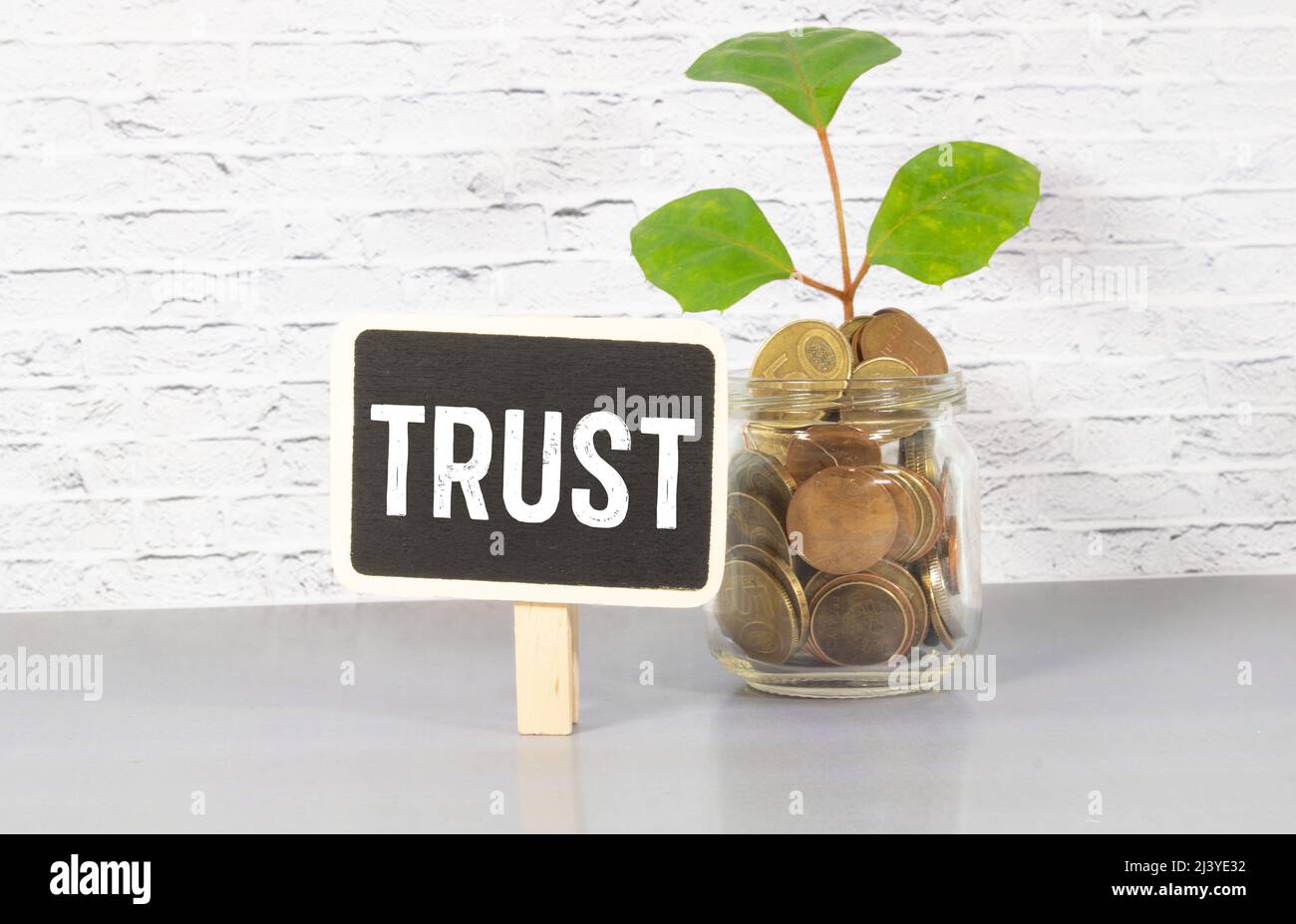 TRUST word written on wood block. TRUST text on table, concept Stock ...