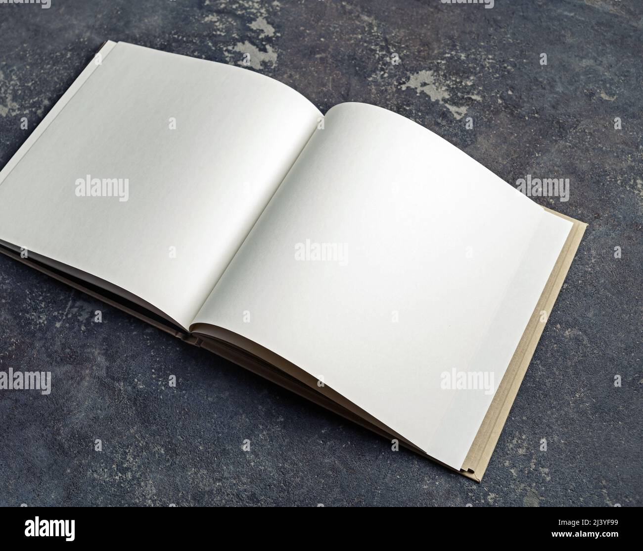 Blank booklet or brochure on concrete background. Mockup for graphic ...