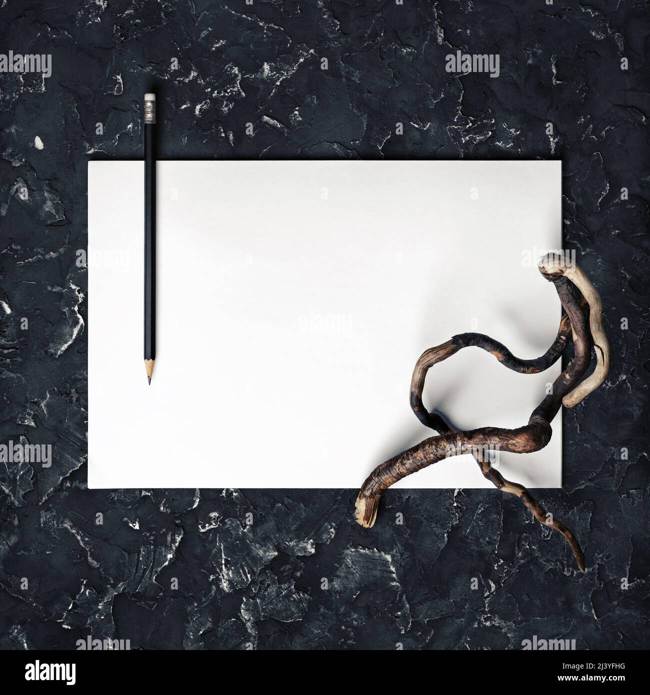 Photo of blank stationery: letterhead, pencil and dry branch. Branding ...