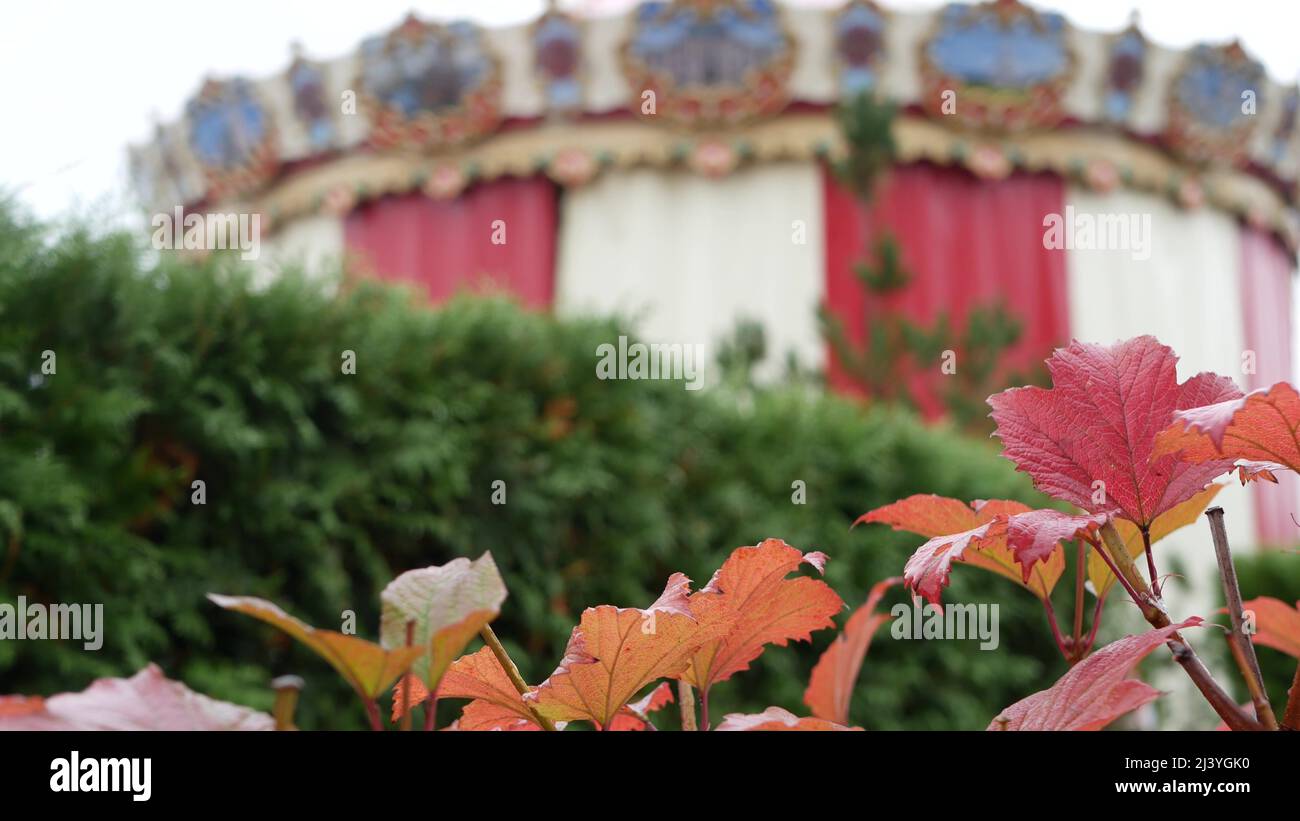 Vintage carousel in autumn park, retro circus or merry go round ...