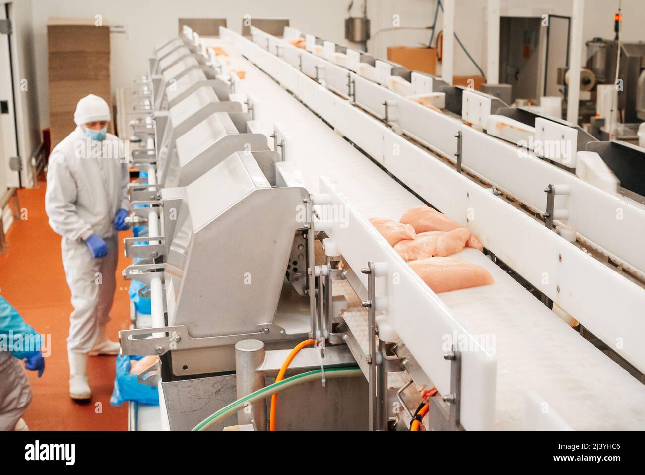 Chicken fillet production line . Factory for the production of food ...