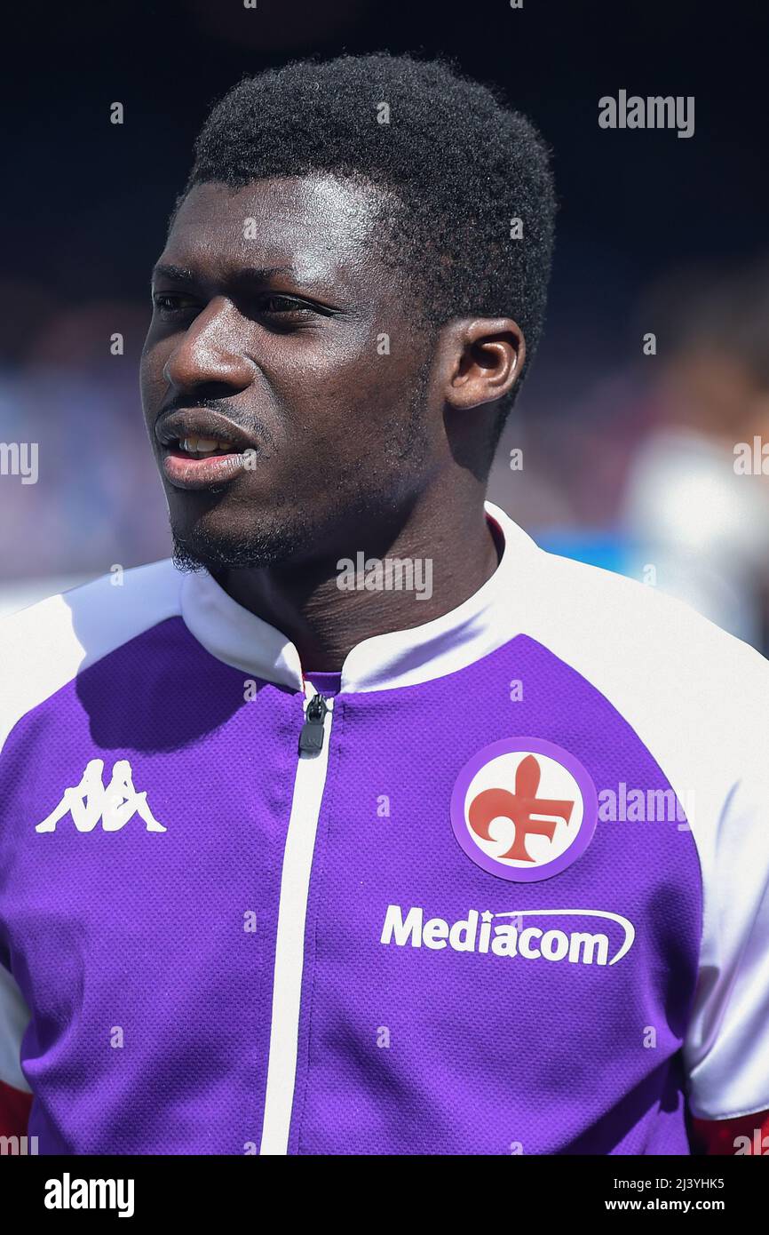 Fiorentina alfred hi-res stock photography and images - Alamy