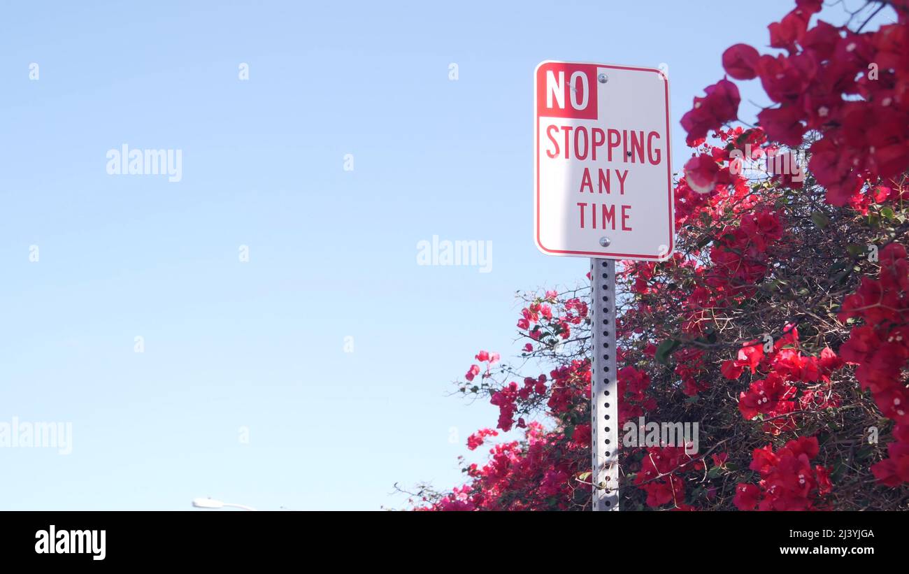 No stopping any time road sign on roadside, California city street, USA ...