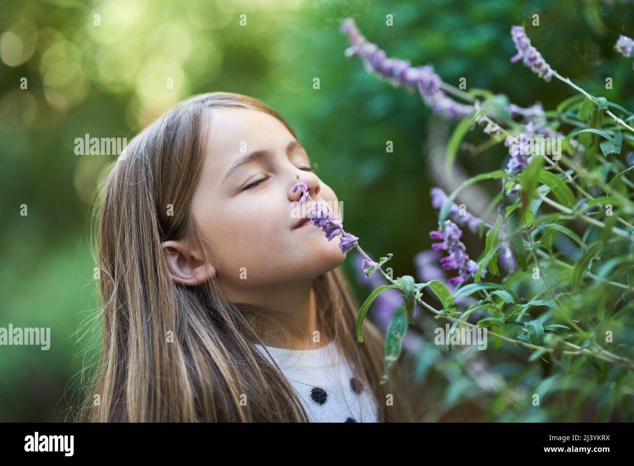 Girl smelling lavender hi-res stock photography and images - Alamy