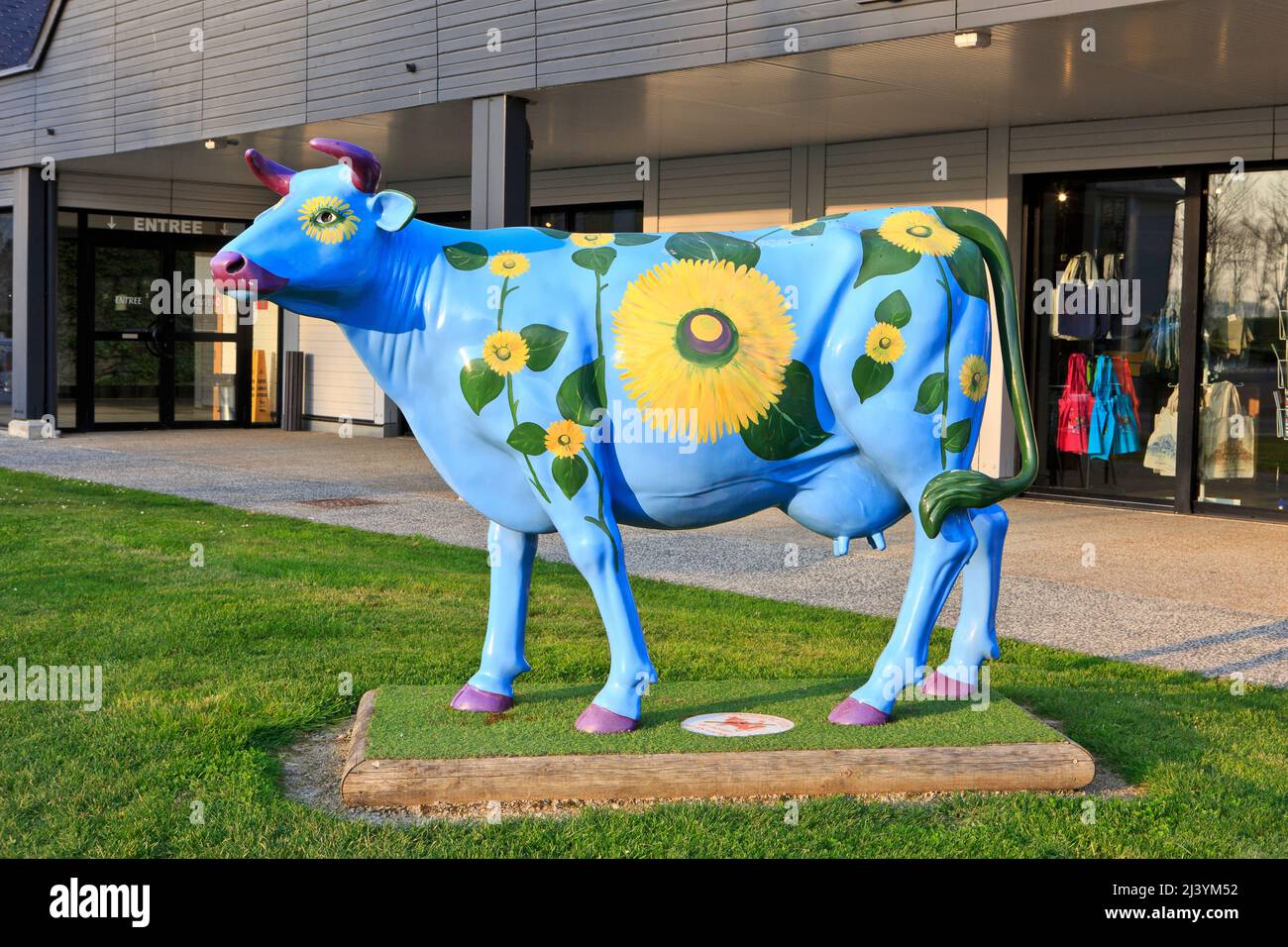 Norman cow hi-res stock photography and images - Alamy